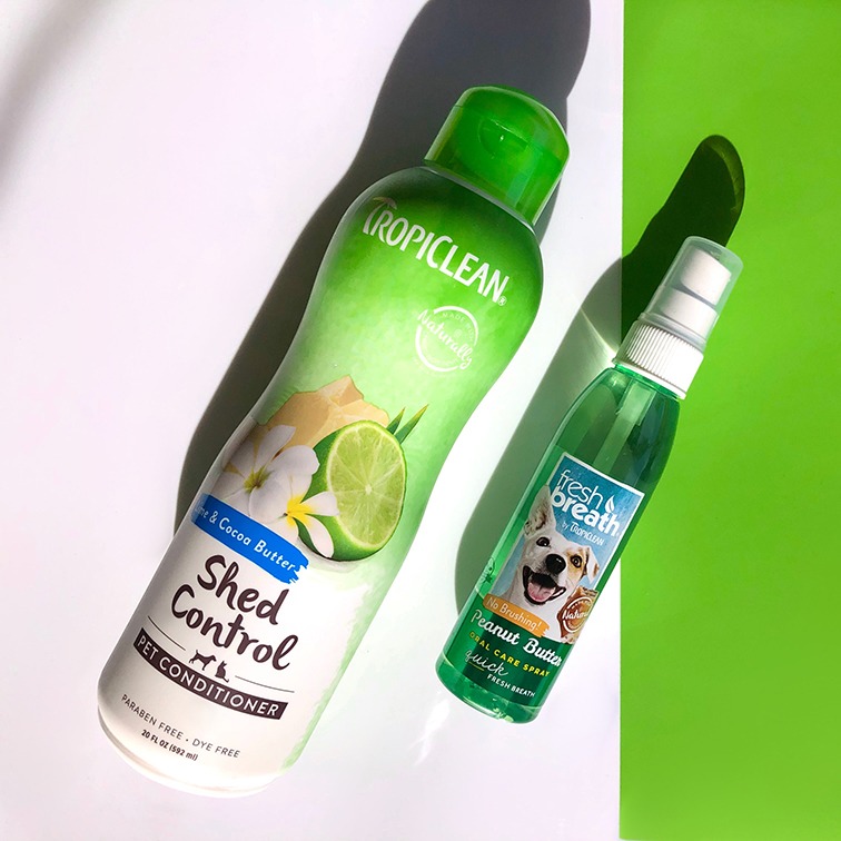 Pet Care Bottles & Containers | Poly-Tainer | US Manufacturer